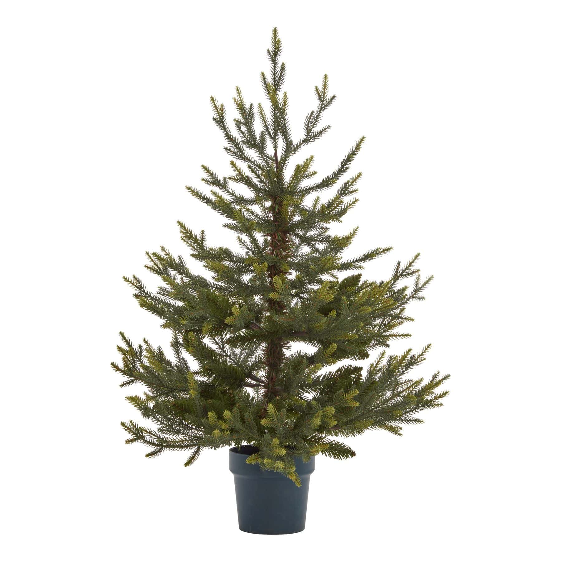 Potted Natural Pine Tree - Dukes Home Interiors
