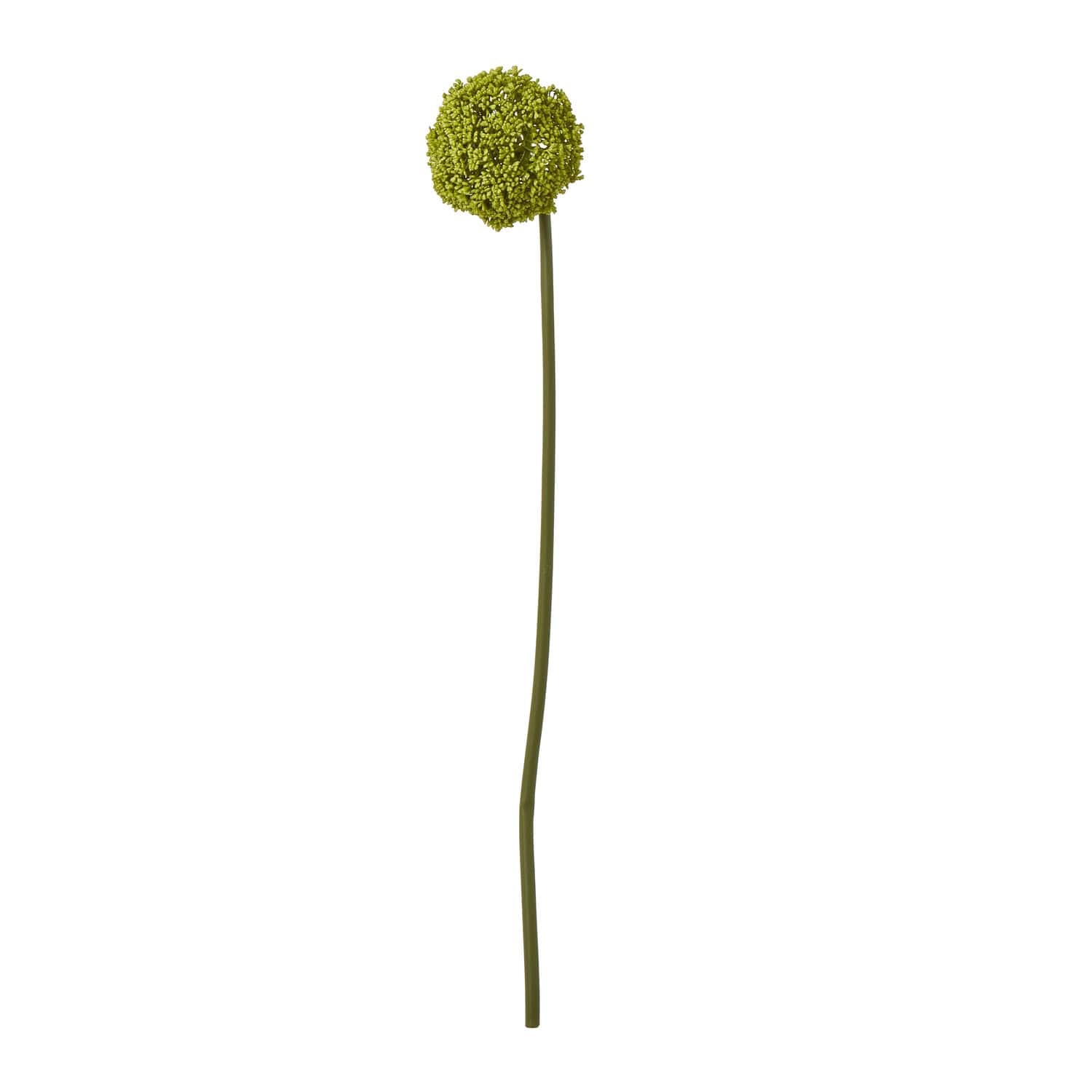 Green Allium Stem - Dukes Home Interiors